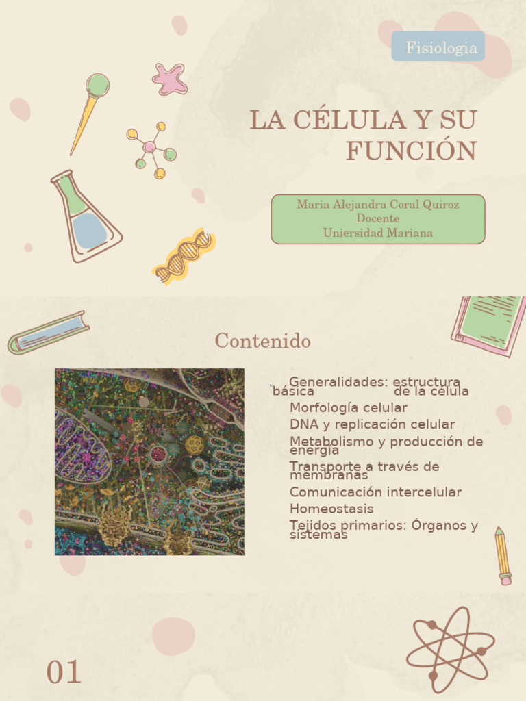 2. La celula y sus funciones | PDF