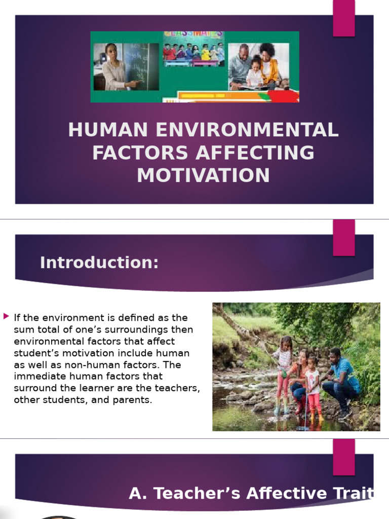 Human Motivation | PDF