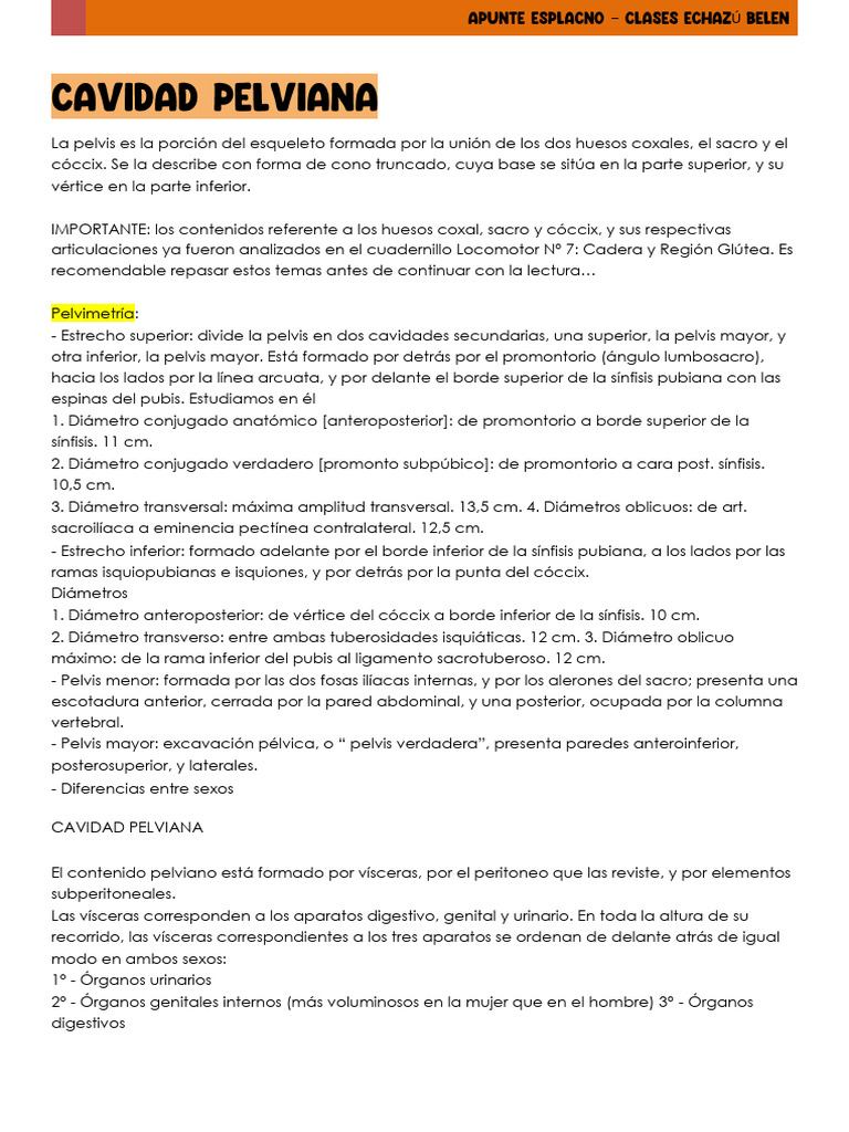 Cavidad Pelvica Y Genitales Pdf