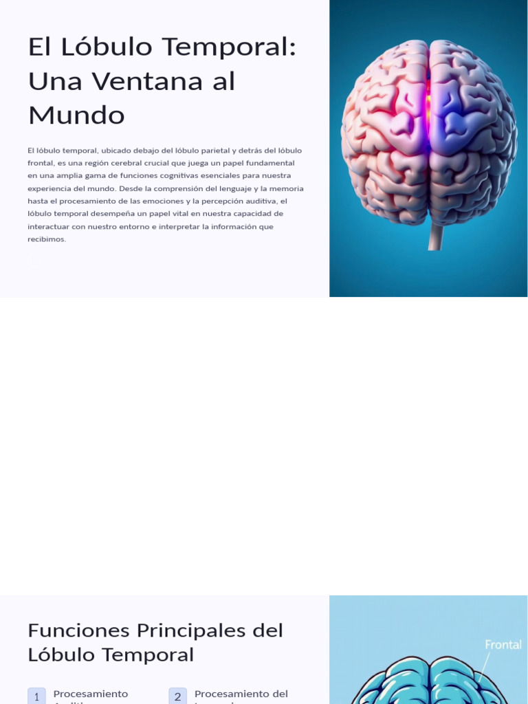 Lóbulo Temporal | PDF