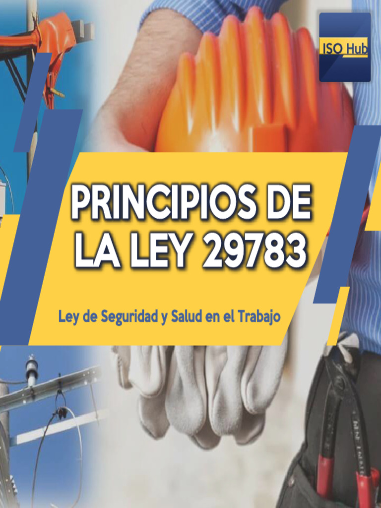 Principios de La Ley 29783 | PDF