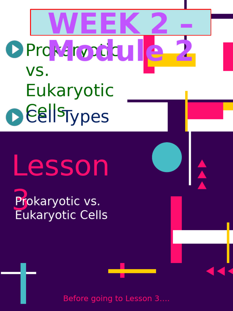 Week 2 Lecture | PDF Week 2 Lecture | PDF