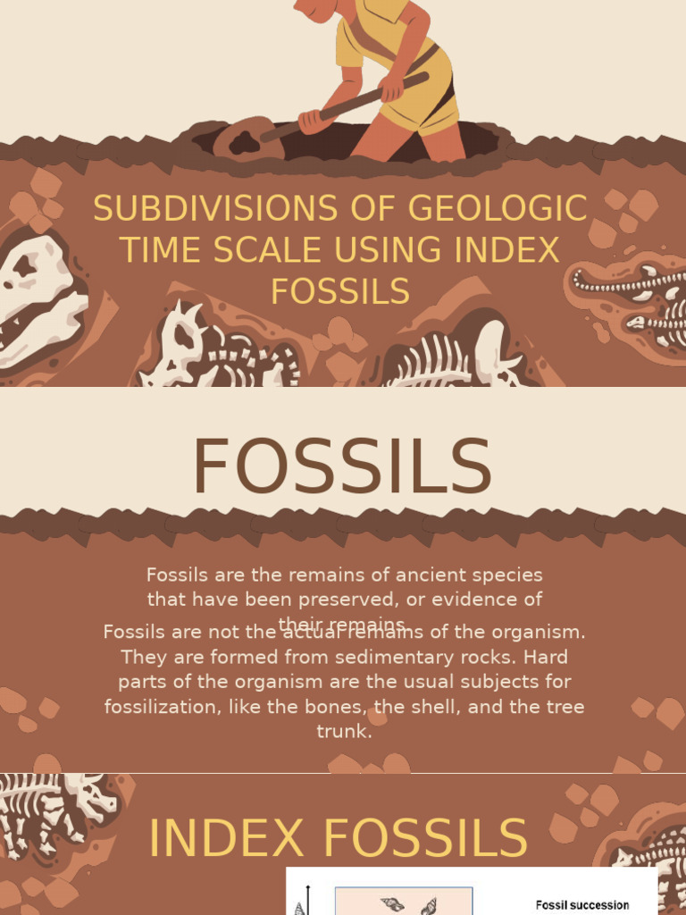 Subdivisions of Geologic Time Scale Using Index Fossils | PDF
