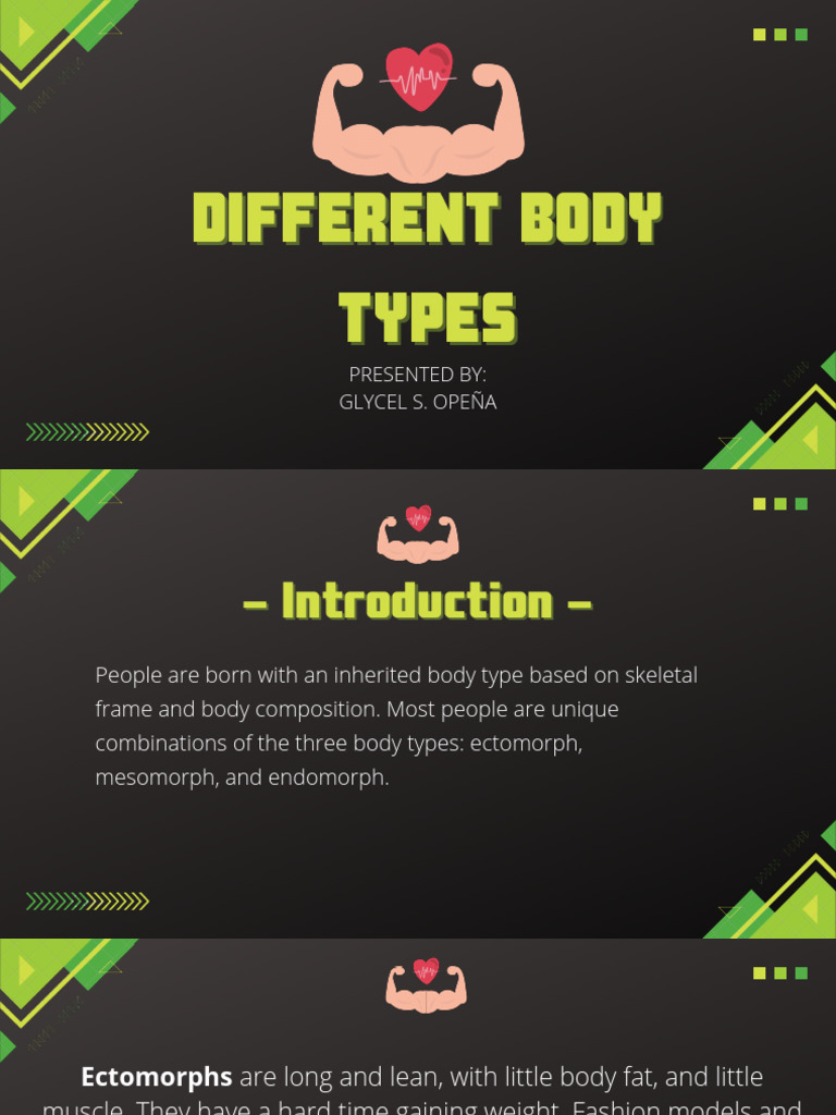Different Body Types | PDF