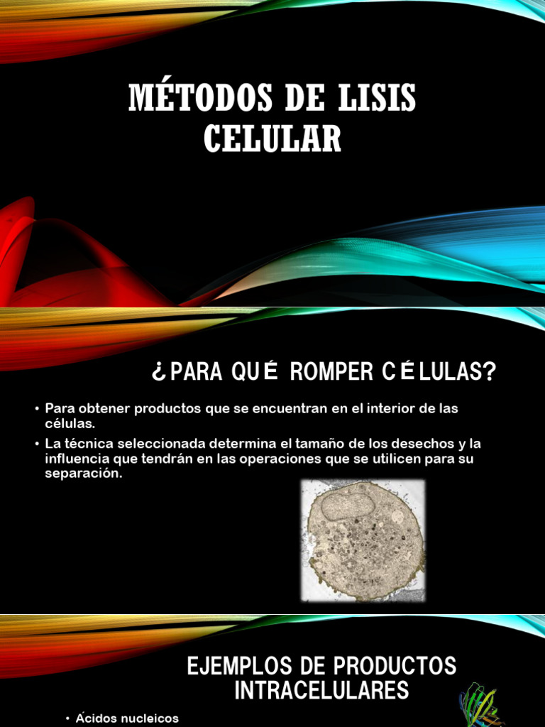 Métodos de Lisis Celular: Guía Básica | PDF | Membrana celular | Ciencia y matemáticas