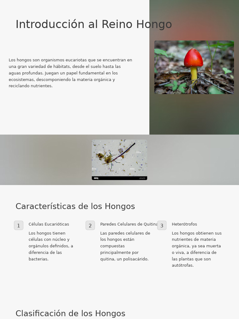 Introduccion Al Reino Hongo | PDF