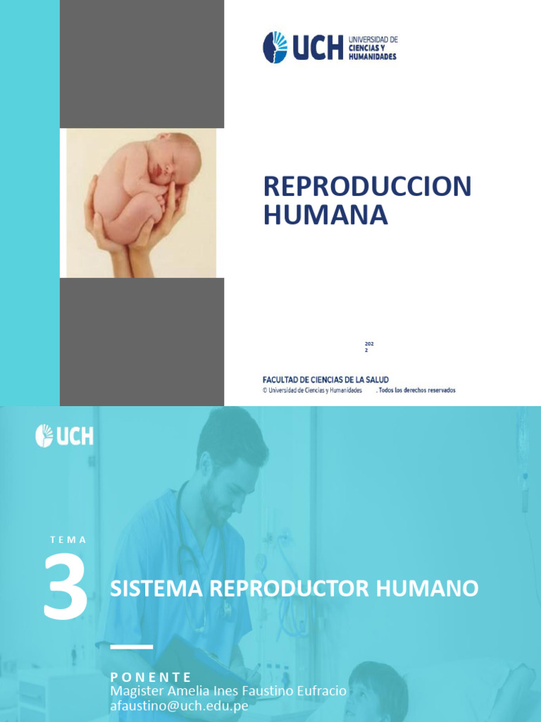 Clase Org Sex Pdf
