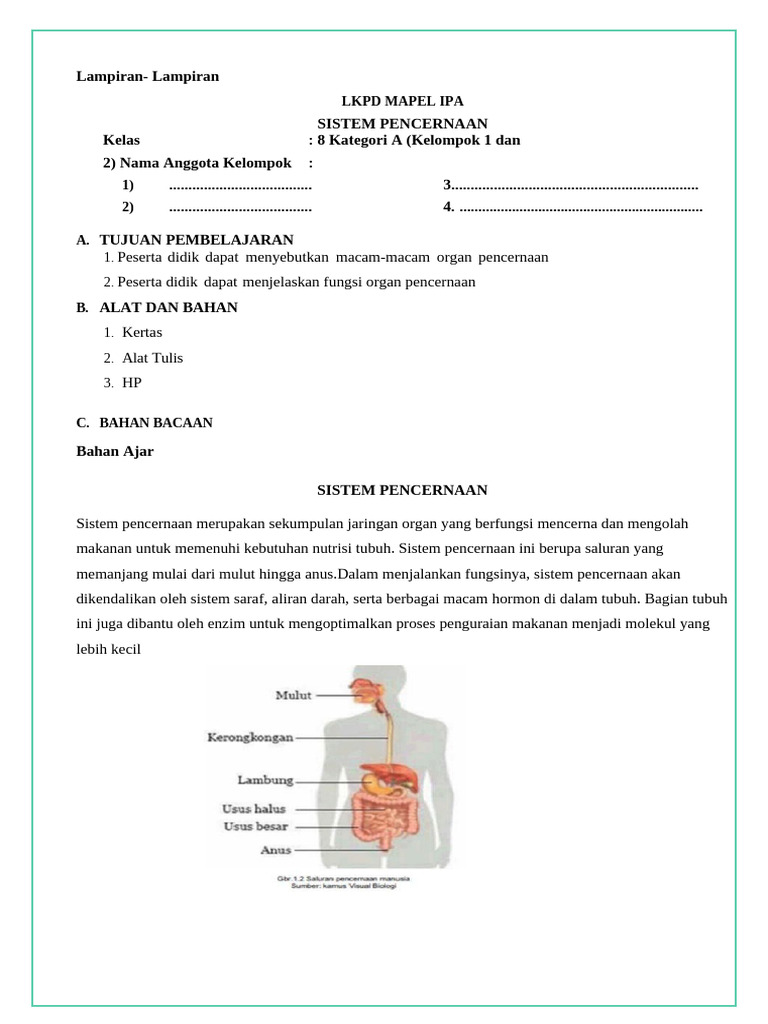 LKPD Organ Pencernaan 1 | PDF | Gastroenterology | Digestive System