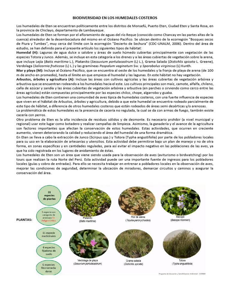 Biodiversidad de Los Humedales | PDF