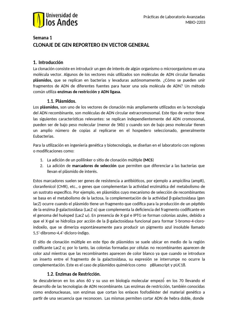 Guía 01 - Clonaje | PDF