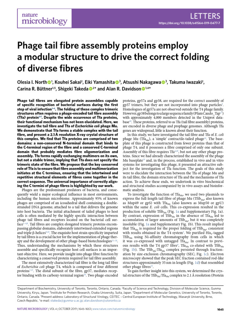 Phage Tail Fibre Assembly Proteins Employ A Modular Structure To Drive ...