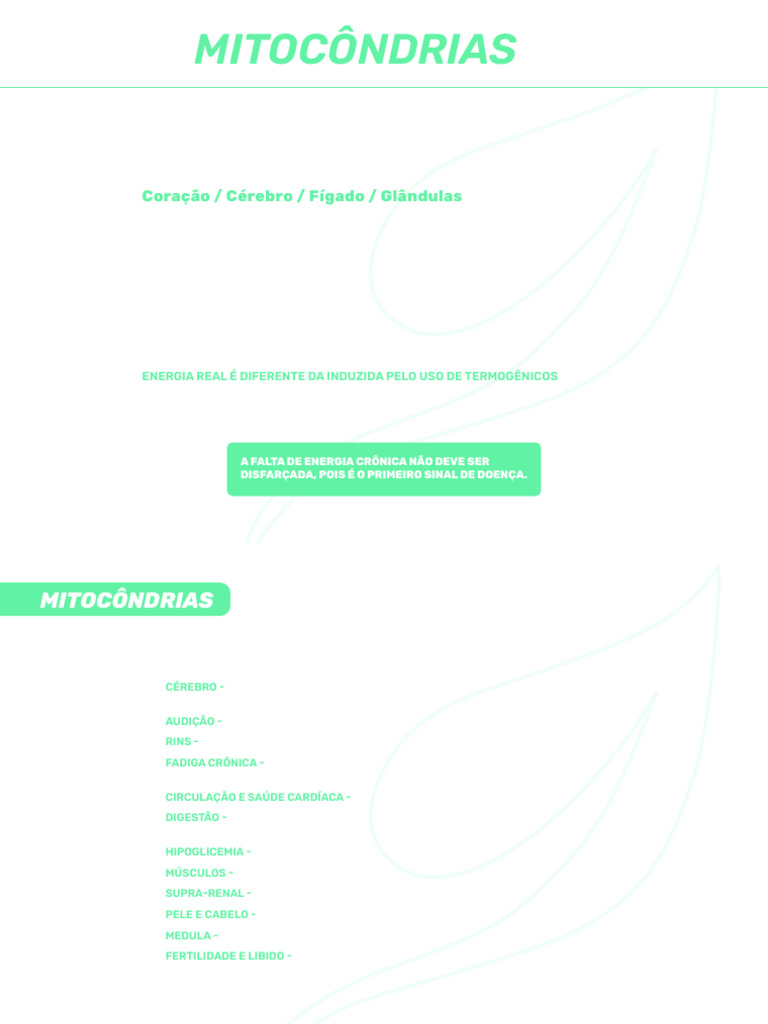 Mitocondrias | PDF