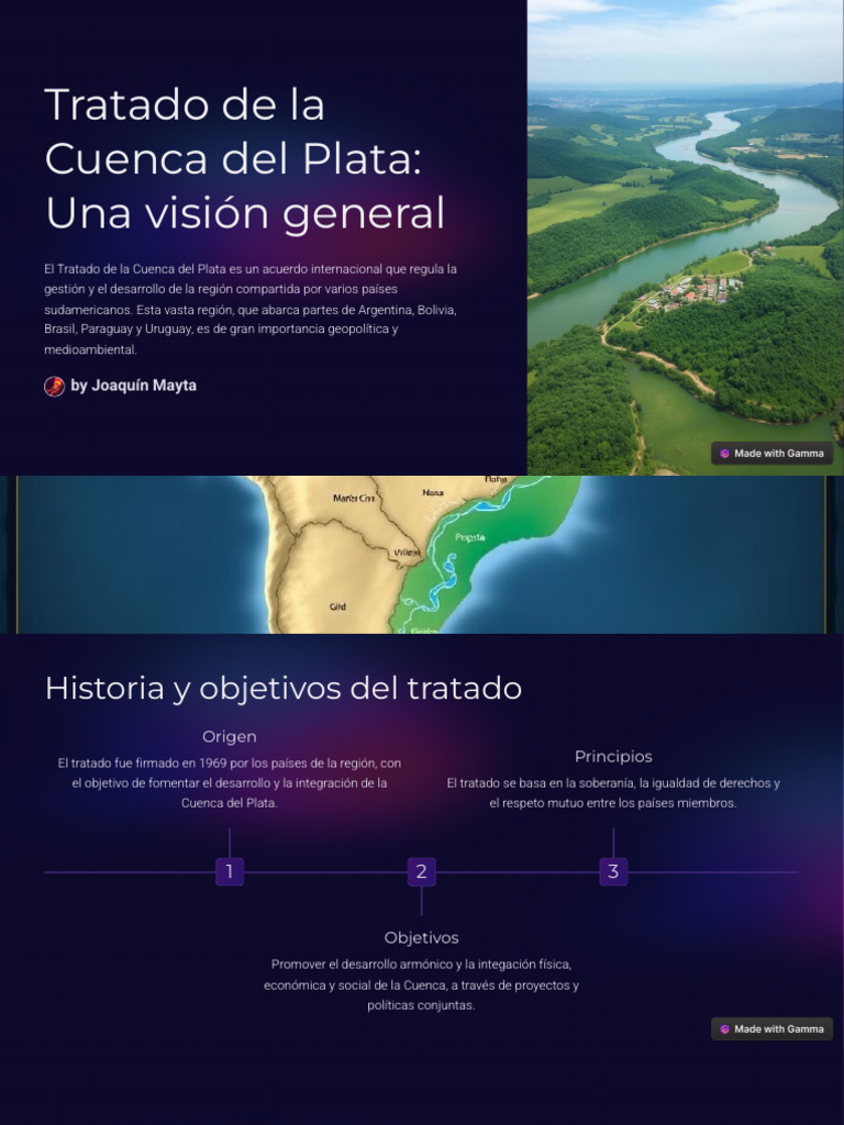 Tratado de La Cuenca Del Plata Una Vision General | PDF