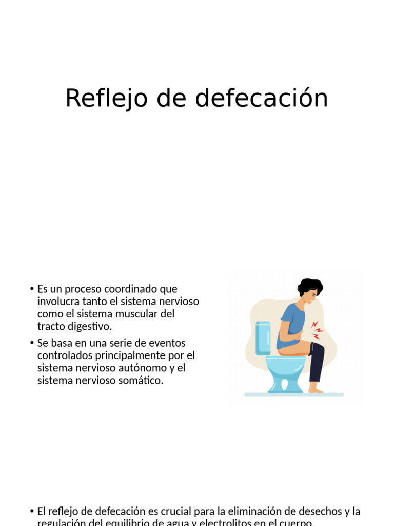 Reflejo de Defecación | PDF