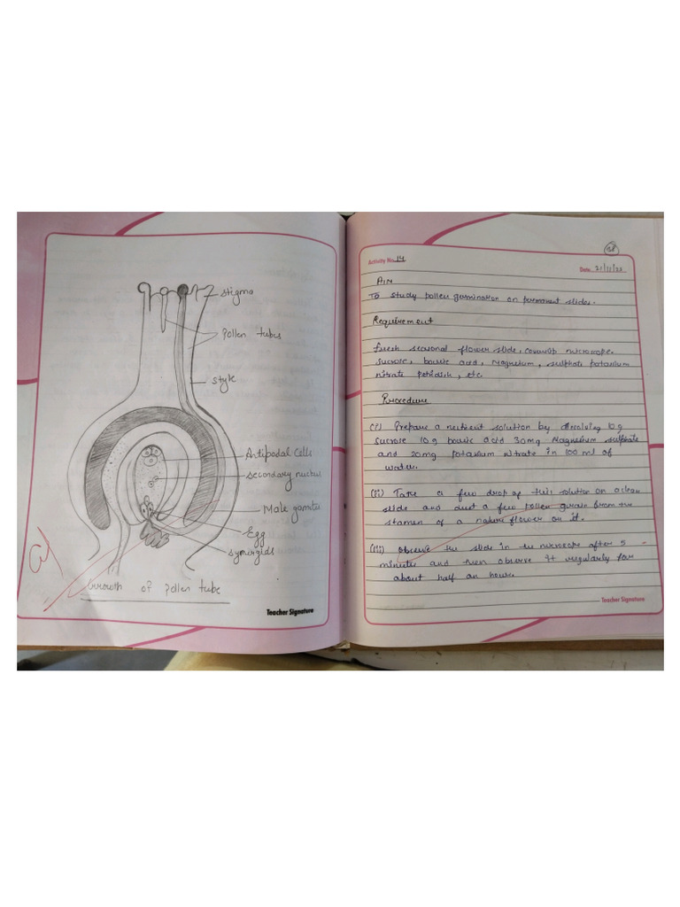 PDFGallery 20240926 094937 | PDF