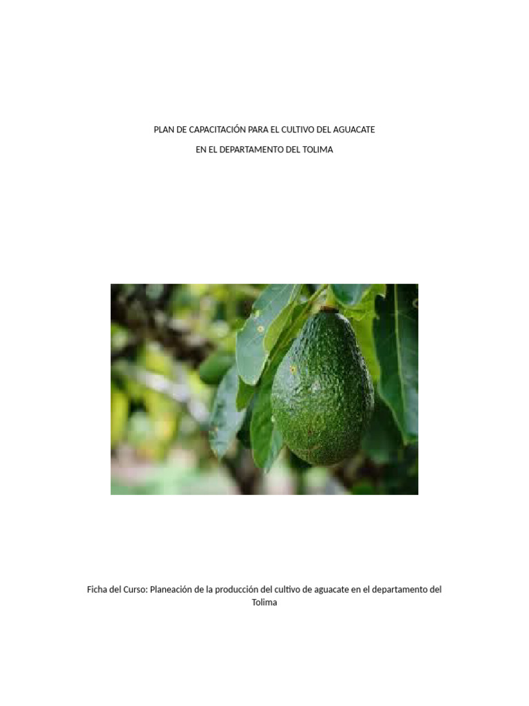 PLAN DE CAPACITACIÓN PARA EL CULTIVO DEL AGUACATE | PDF