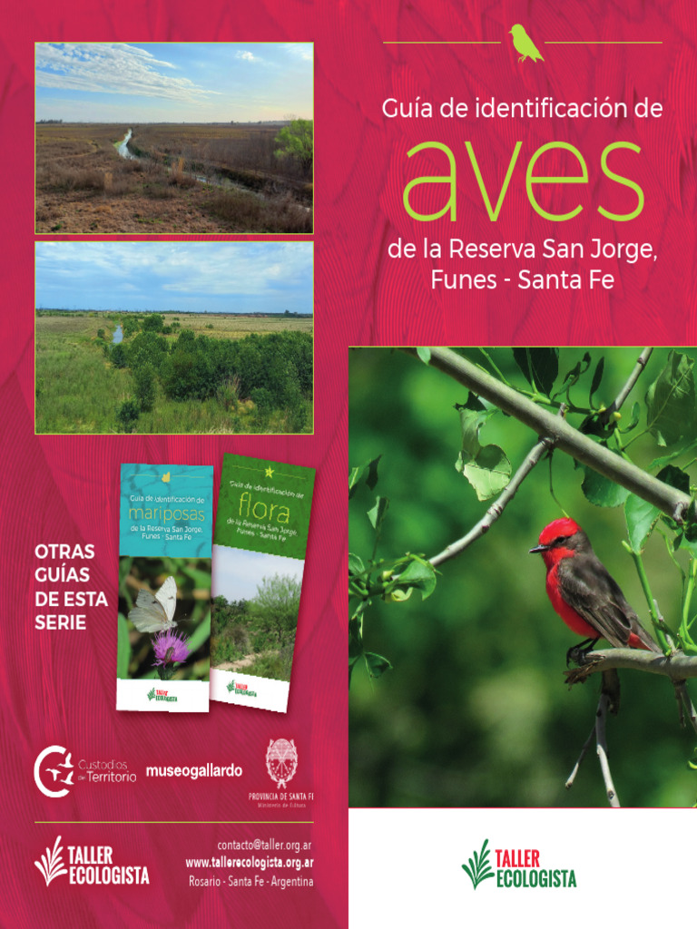 Guia de Identificacion avesDIGITAL | PDF | Aves | Pluma