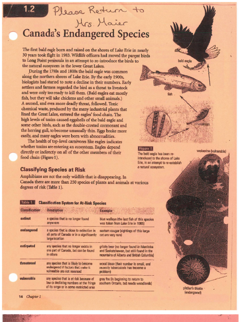 Extra Information | PDF