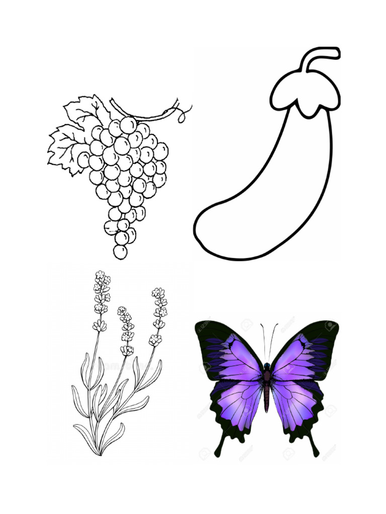 Violet | PDF