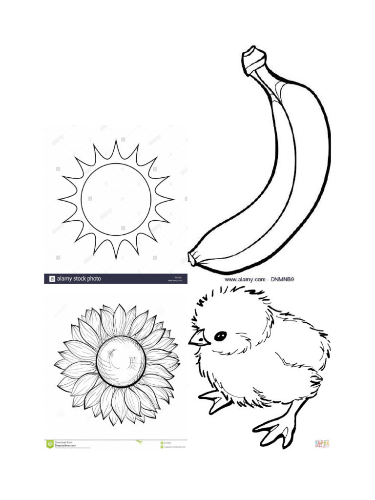 Yellow | PDF