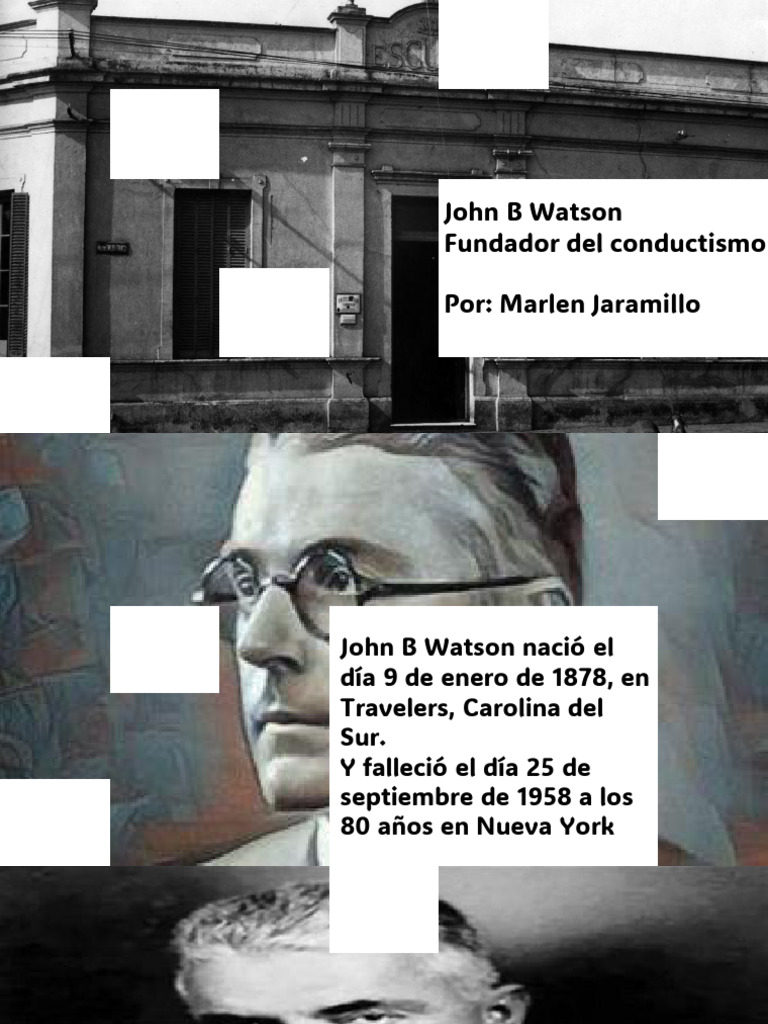 Watson | PDF
