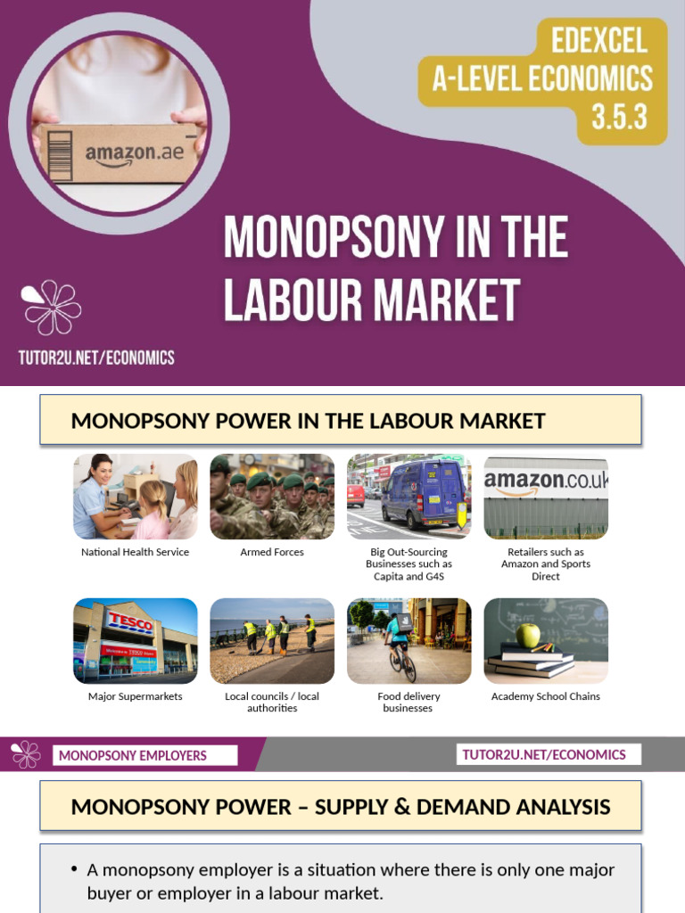 3 5 3 Monopsony in Labour Market | PDF