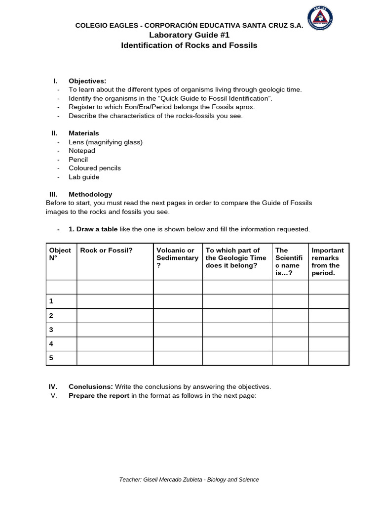 S2 Lab Guide - Fossil Identification | PDF