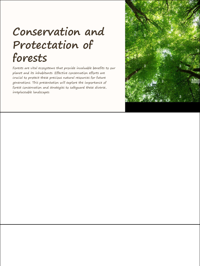 Introduction To Forest Conservation | PDF