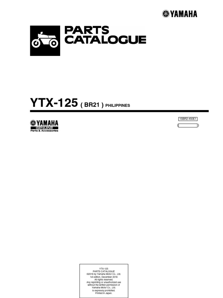 Ytx-125 BR21 (1sbr2450e1) | PDF