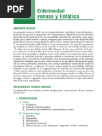Clasificación CEAP de Insuficiencia Venosa | PDF | Trombo | Vena