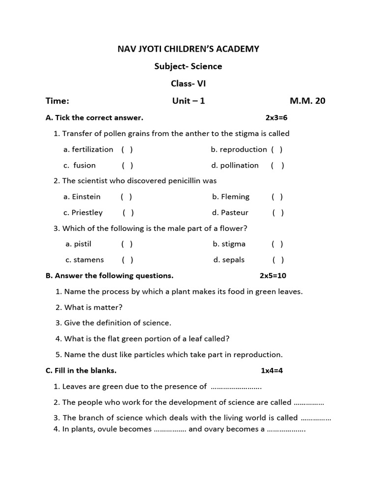 Class 6, Science | PDF