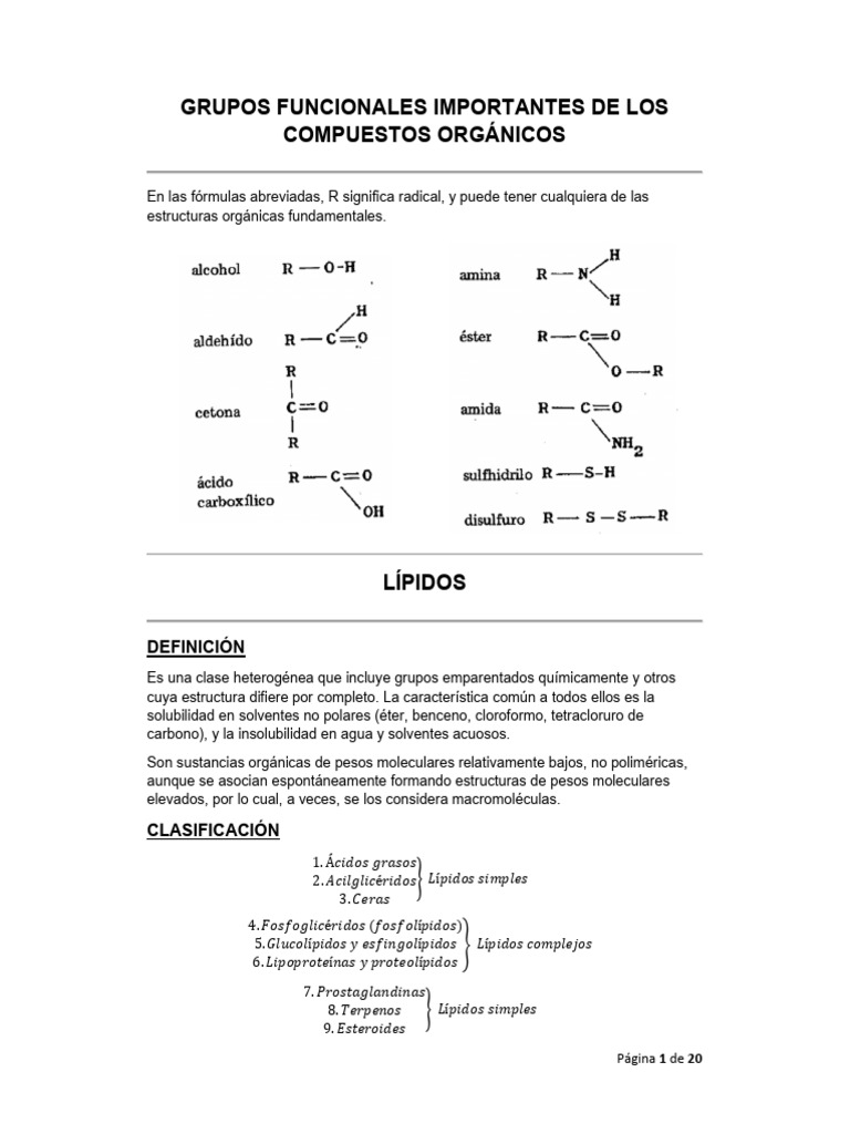Componentes Orgánicos Resumen | PDF | Rna | Aminoácidos