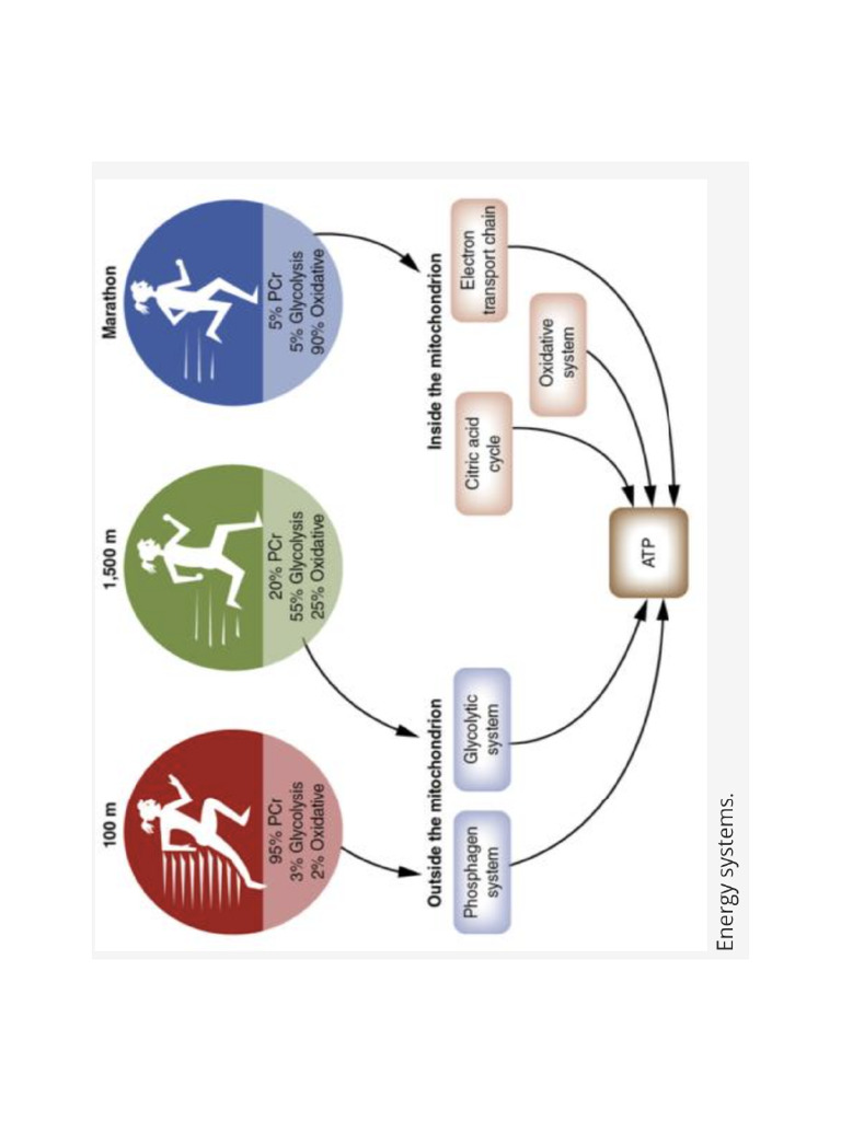Simple Energy Systems Chart | PDF