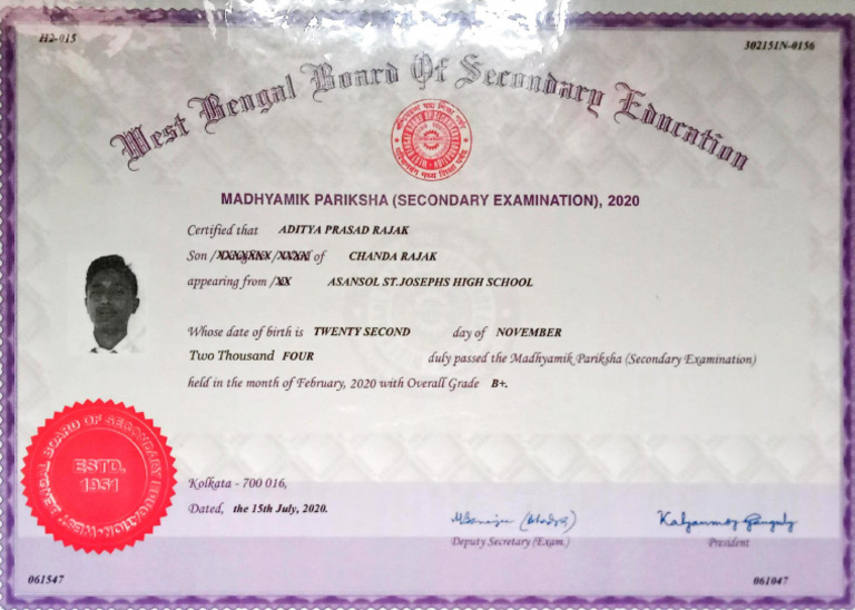 MP Certificate | PDF