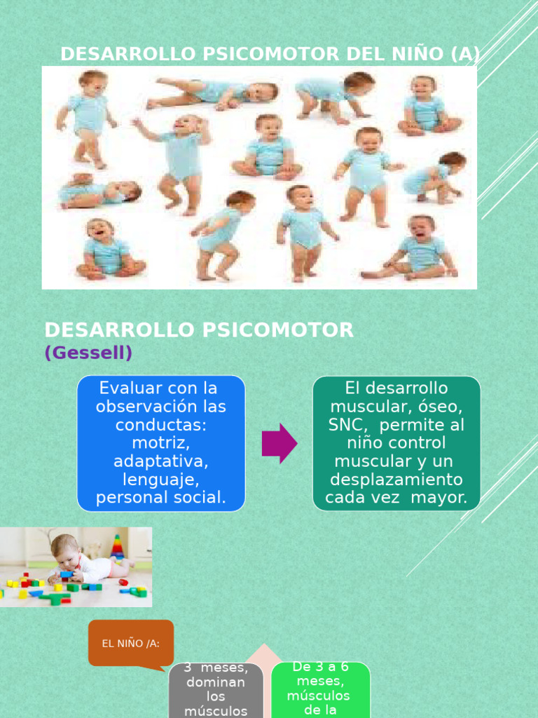 Sem 3 - Desarrollo - Psicomotor | PDF