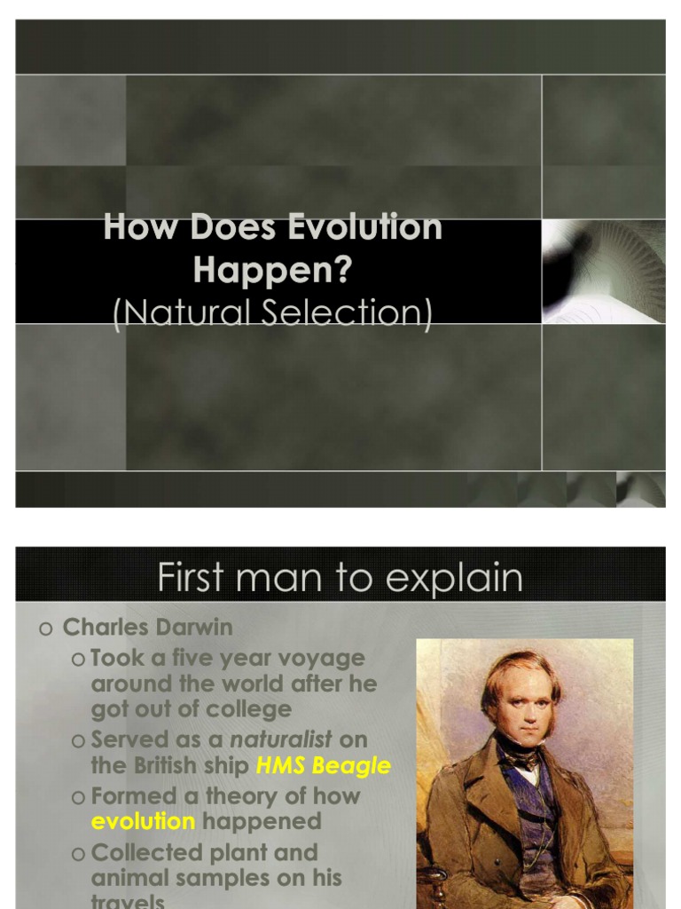 How Does Evolution Happen | PDF | Science & Mathematics