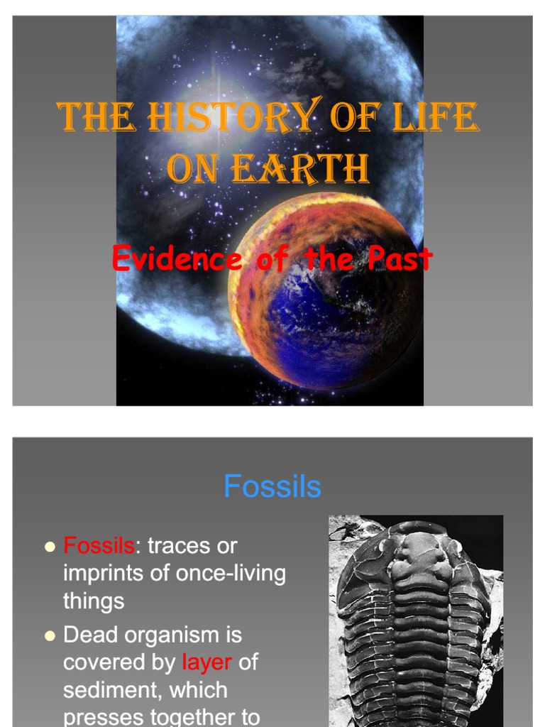 History of Life On Earth | PDF