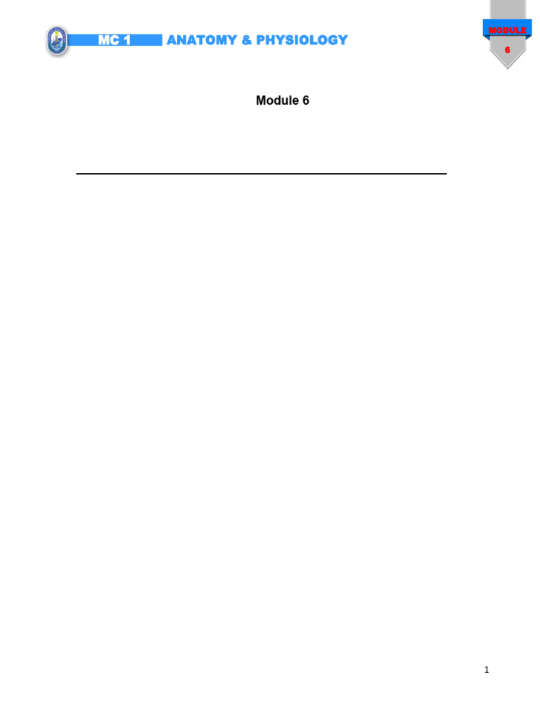 MC 1-Module 6 | PDF