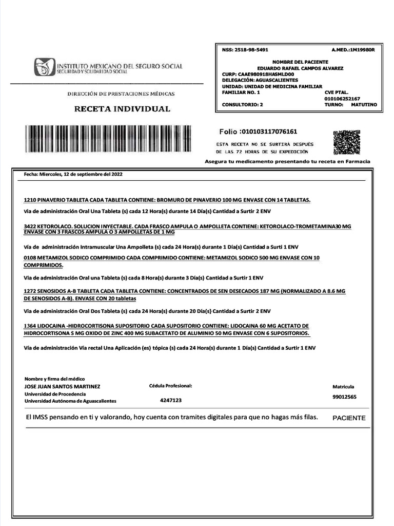 PDF Receta Imss Plantilla Compress | PDF