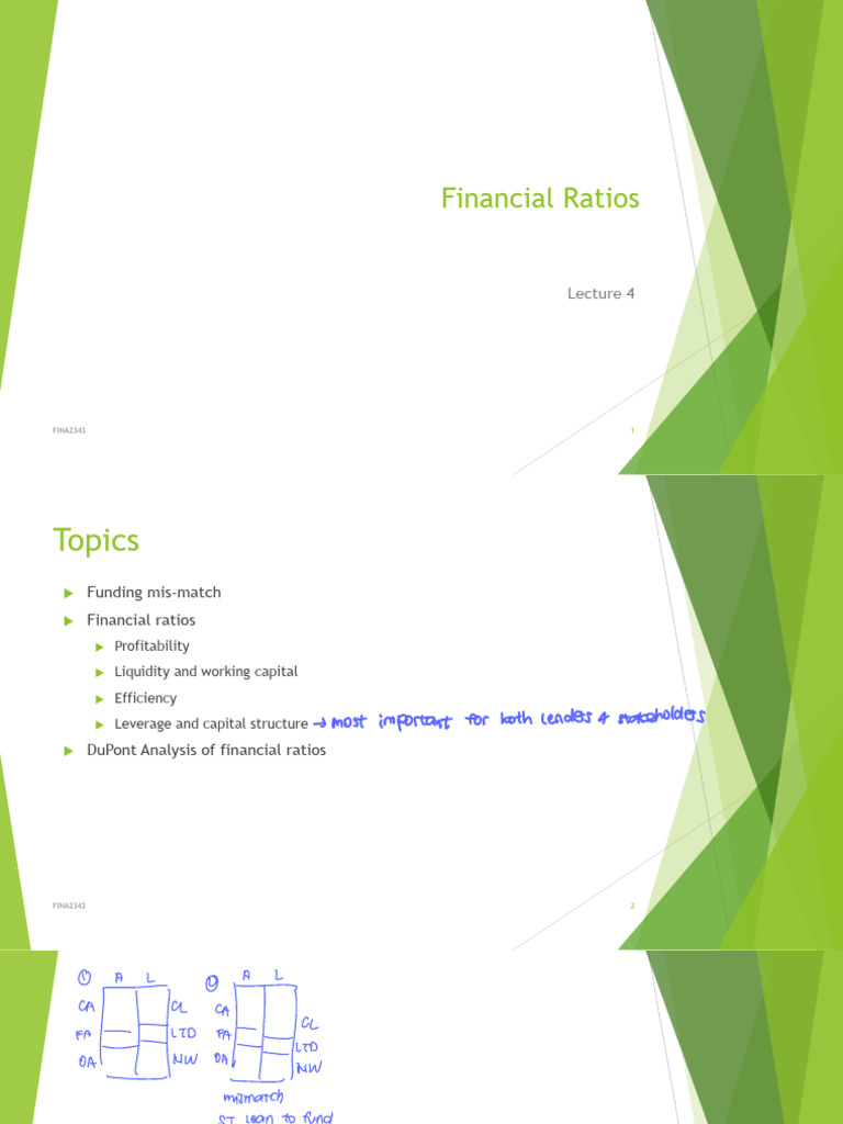 2023.24 Lecture 4 Financial Ratios Analysis | PDF | Leverage (Finance) | Dividend