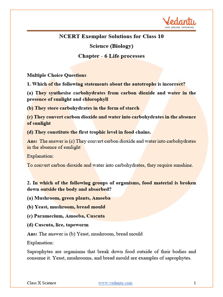 NCERT Exemplar for Class 10 Science Chapter 6 | PDF