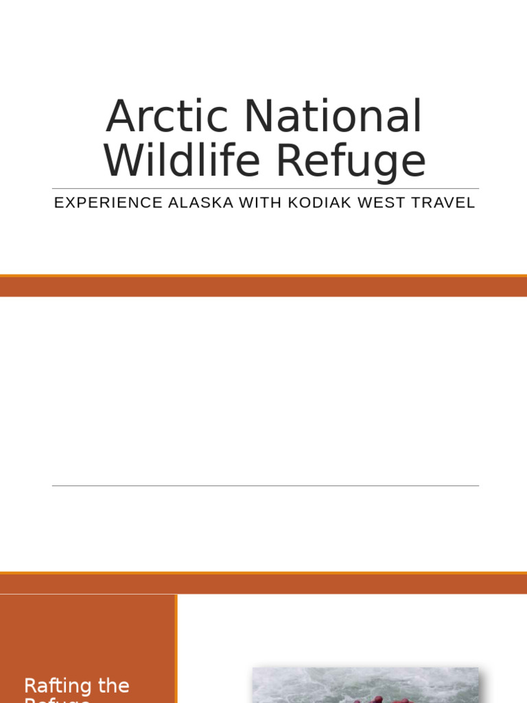 Mostafa - PowerPoint - 1F - Refuge New | PDF