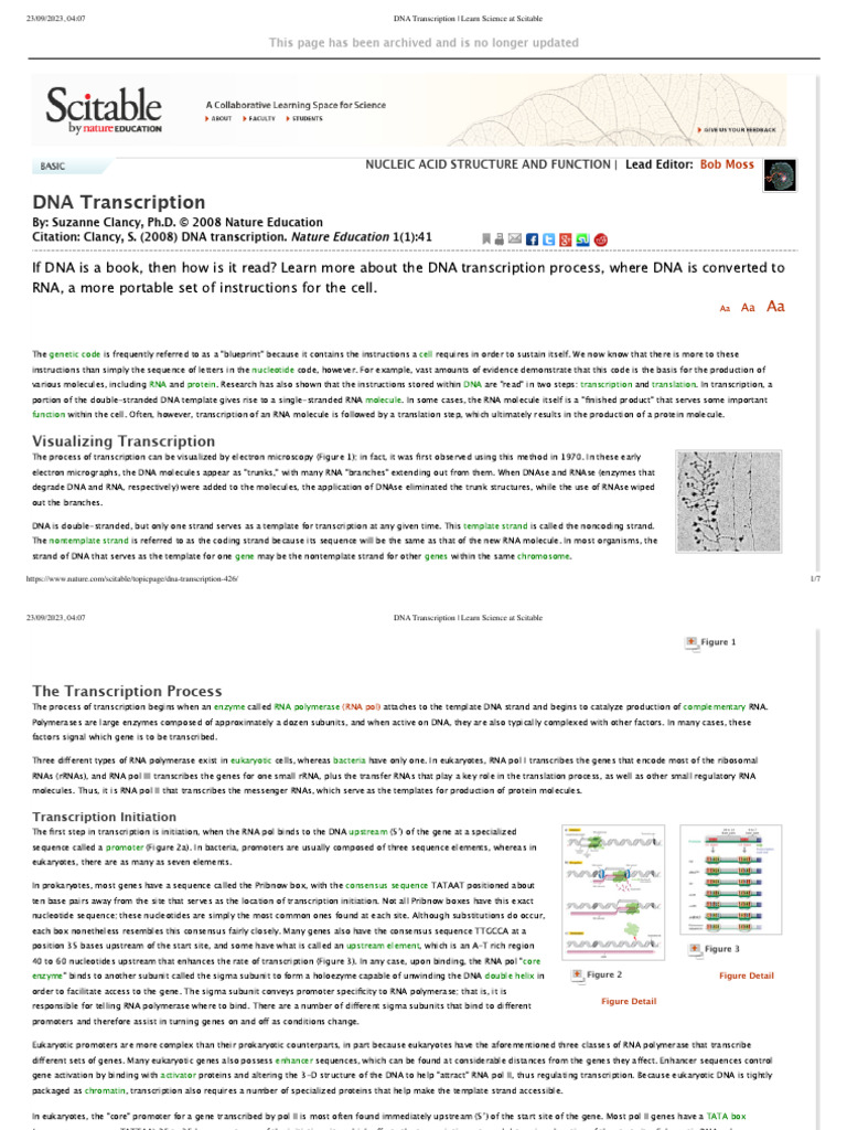 Dna Transcription Learn Science At Scitable Pdf 