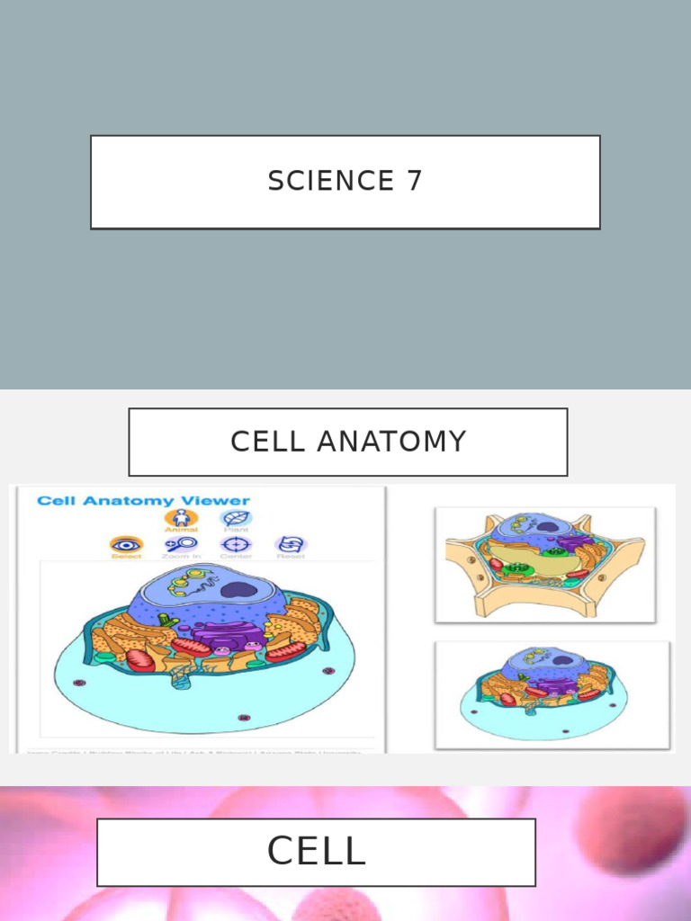 SCIENCE 7- CELLS | PDF