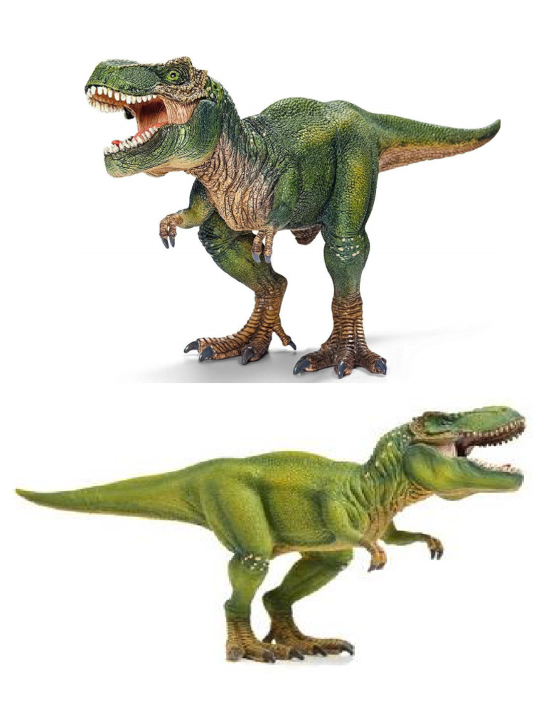 Rex | PDF