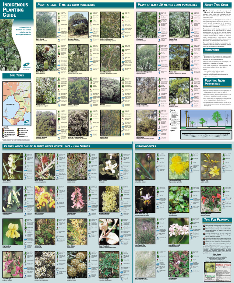 Indigenous Planting Guide | PDF
