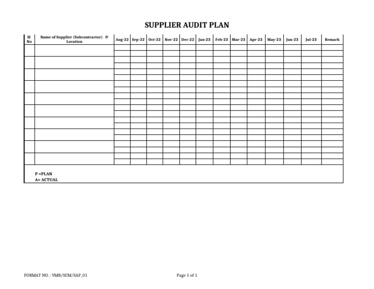 Supplier Audit Plan | PDF