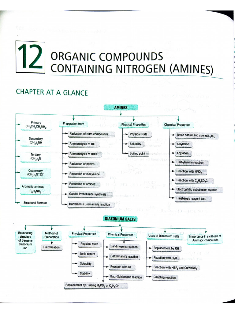 Amines | PDF