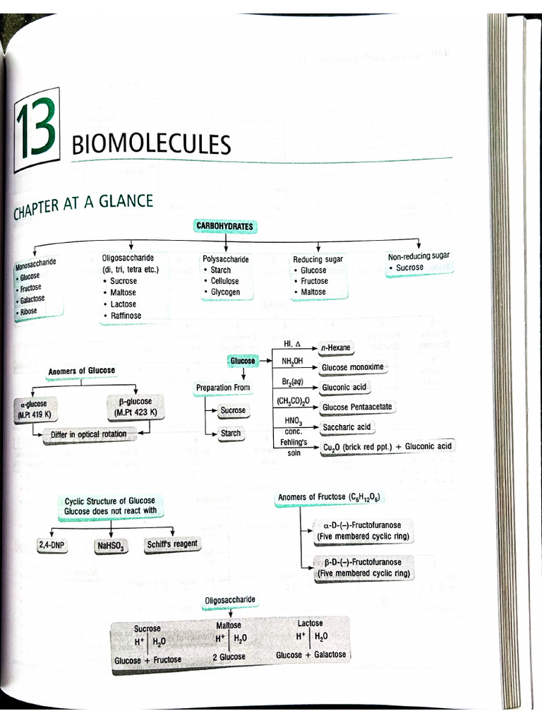 Biomolecules | PDF