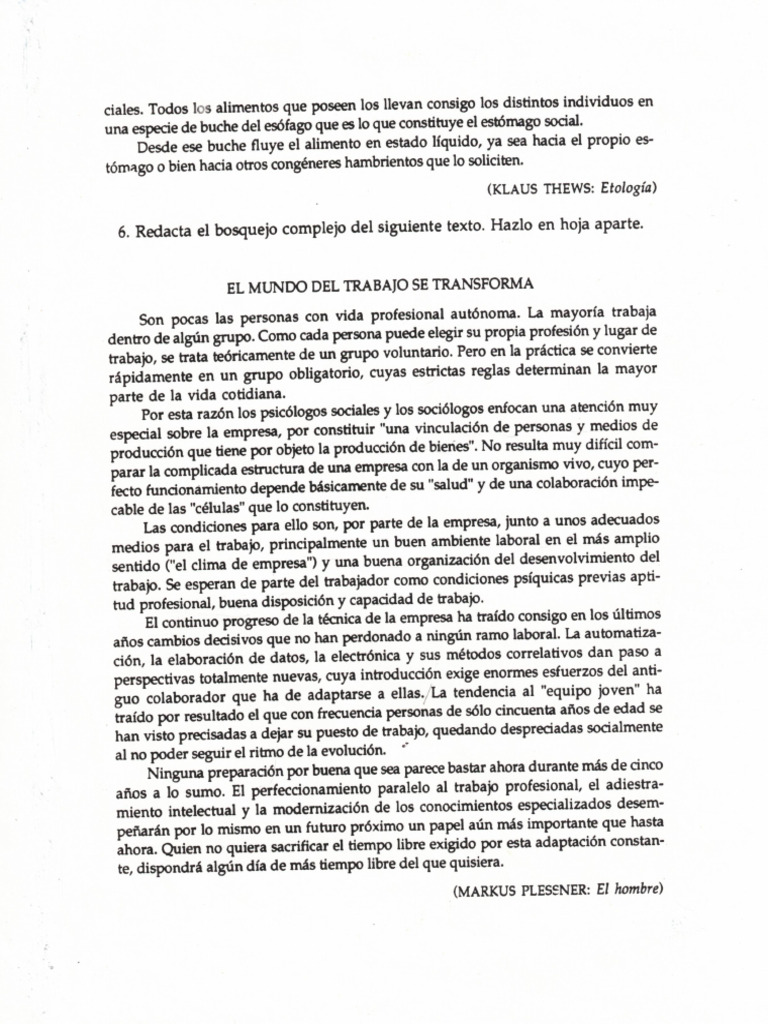 Tarea - El Mundo Del Trabajo Se Transforma PDF | PDF